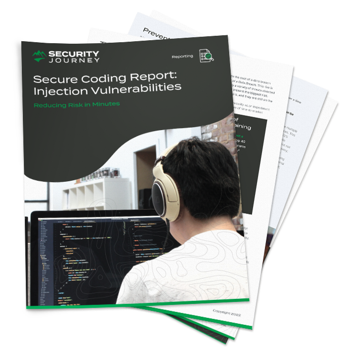 Secure Coding Report Injection Vulnerabilities